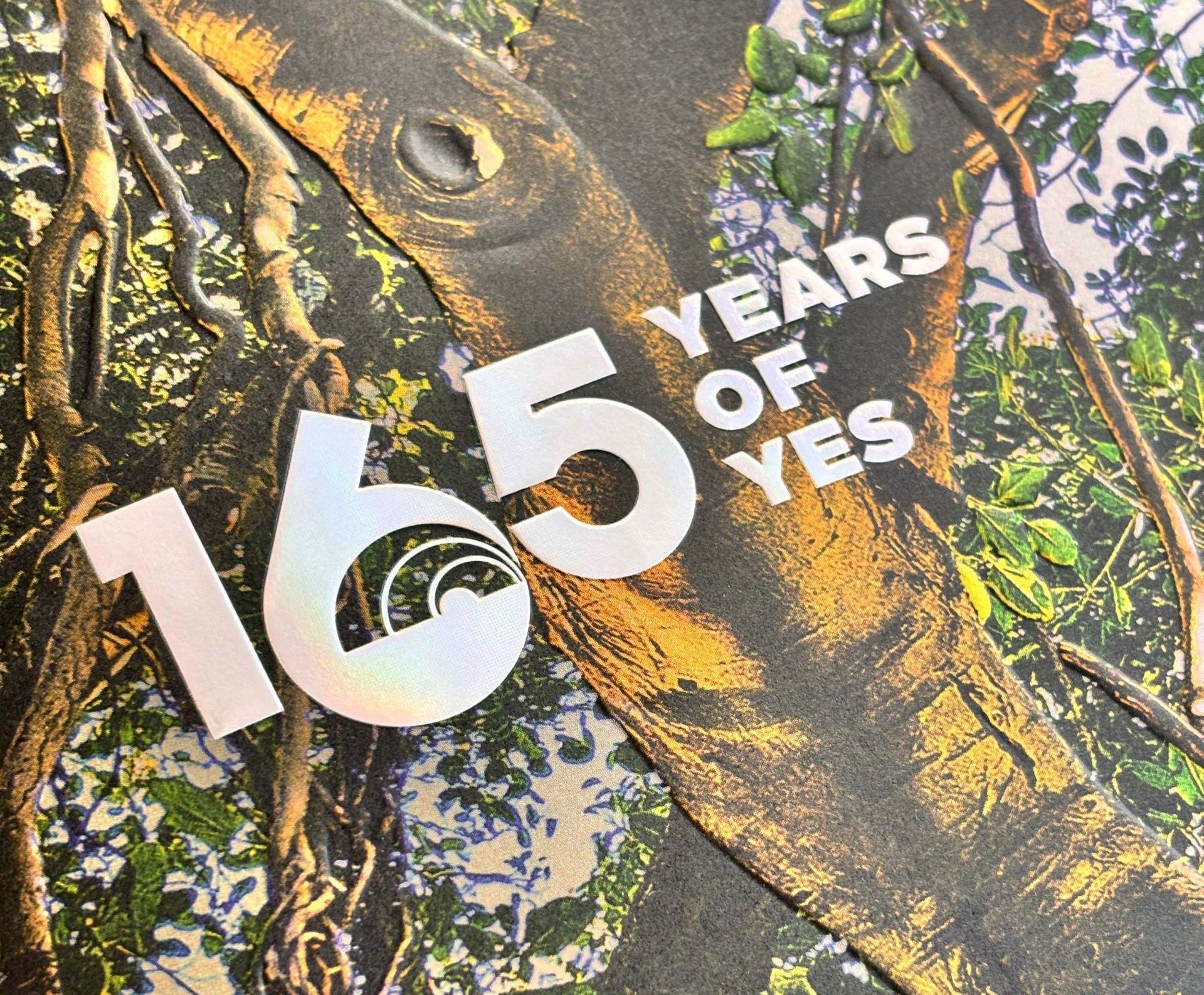 Getting the Shot – Stacey Leong Design